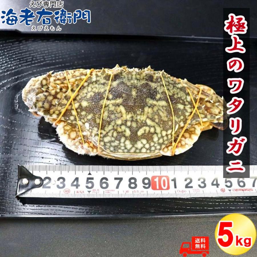メス限定！極上のワタリガニ スリランカ産 匹100-150g 5kg 40匹前後（1kg約8匹）メス 韓国料理 カンジャンケジャン風 渡り蟹 わたりがに 冷凍 加熱用 業務用 : えび専門店 ...