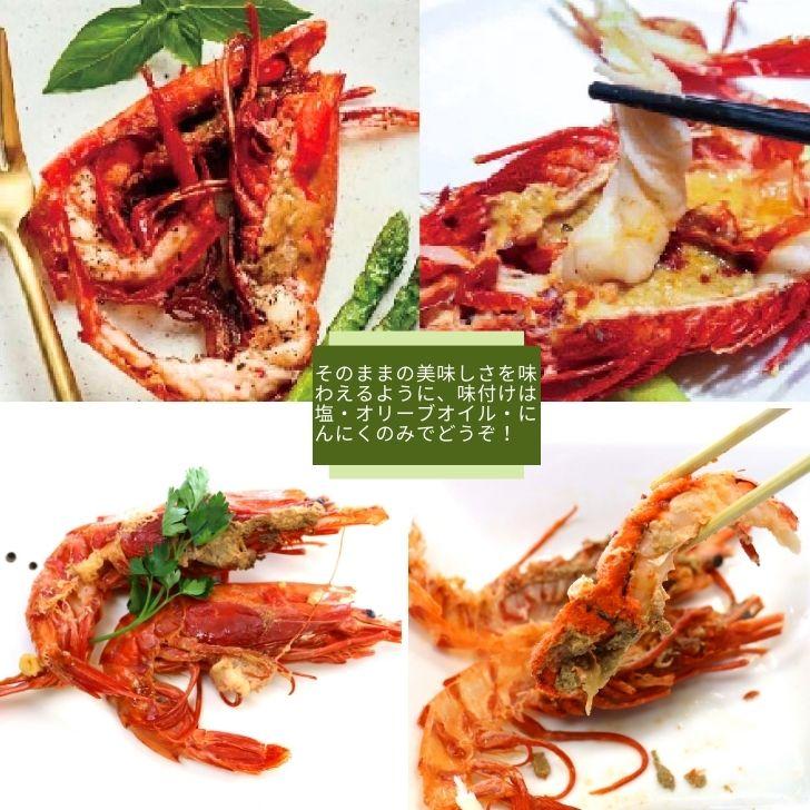 ”赤い悪魔”と呼ばれる海老 カラビネーロ 特大サイズ 3尾〜4尾入り 420g 業務用 ジャイアントスカーレットシュリンプ 紅魔海老 船内凍結 有頭えび 加熱用 : えび専門店海老右衛門 ...