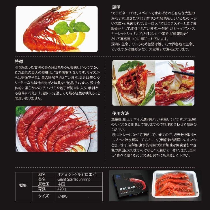 ”赤い悪魔”と呼ばれる海老 カラビネーロ 特大サイズ 3尾〜4尾入り 420g 業務用 ジャイアントスカーレットシュリンプ 紅魔海老 船内凍結 有頭えび 加熱用 : えび専門店海老右衛門 ...