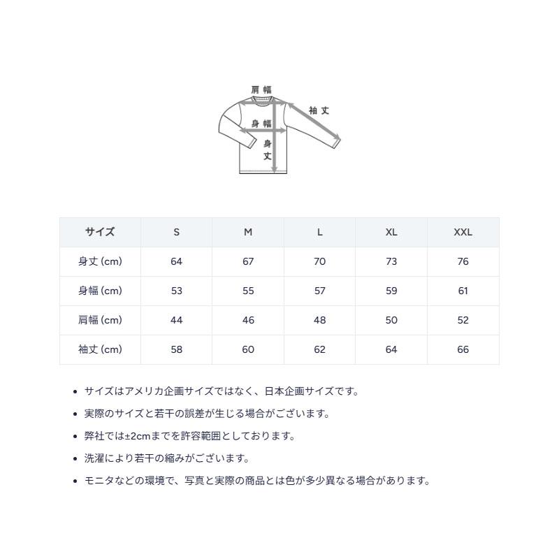 Champion チャンピオン フーデッドスウェットシャツ24FW メンズ プルオーバーパーカー フーディー 裏起毛 カジュアル スポーツ アウトドア 普段 C3-Y139 ...
