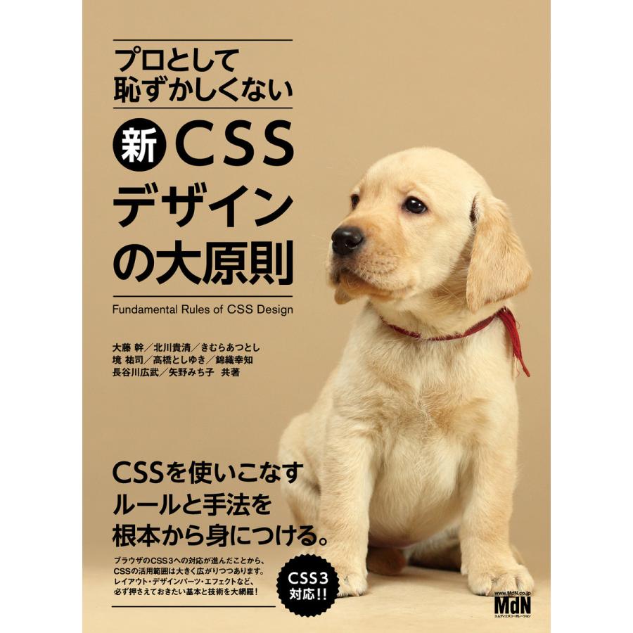 プロとして恥ずかしくない 新・CSSデザインの大原則 電子書籍版 : ebookjapan ヤフー店 - 通販 - Yahoo!ショッピング