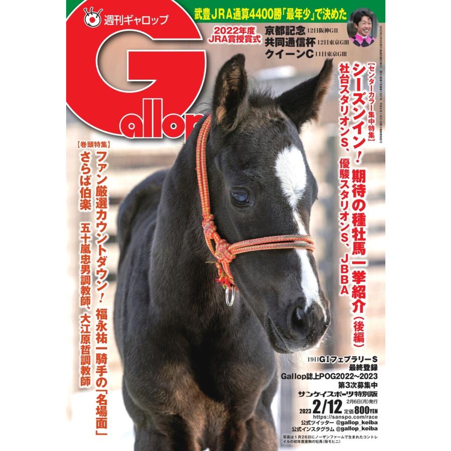 週刊Gallop 2023年2月12日号 電子書籍版 / 週刊Gallop編集部 : ebookjapan ヤフー店 - 通販 - Yahoo ...