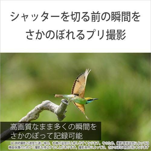 ソニー(SONY) α1II デジタル一眼カメラ ボディ ILCE-1M2 : ECカレント - 通販 - Yahoo!ショッピング