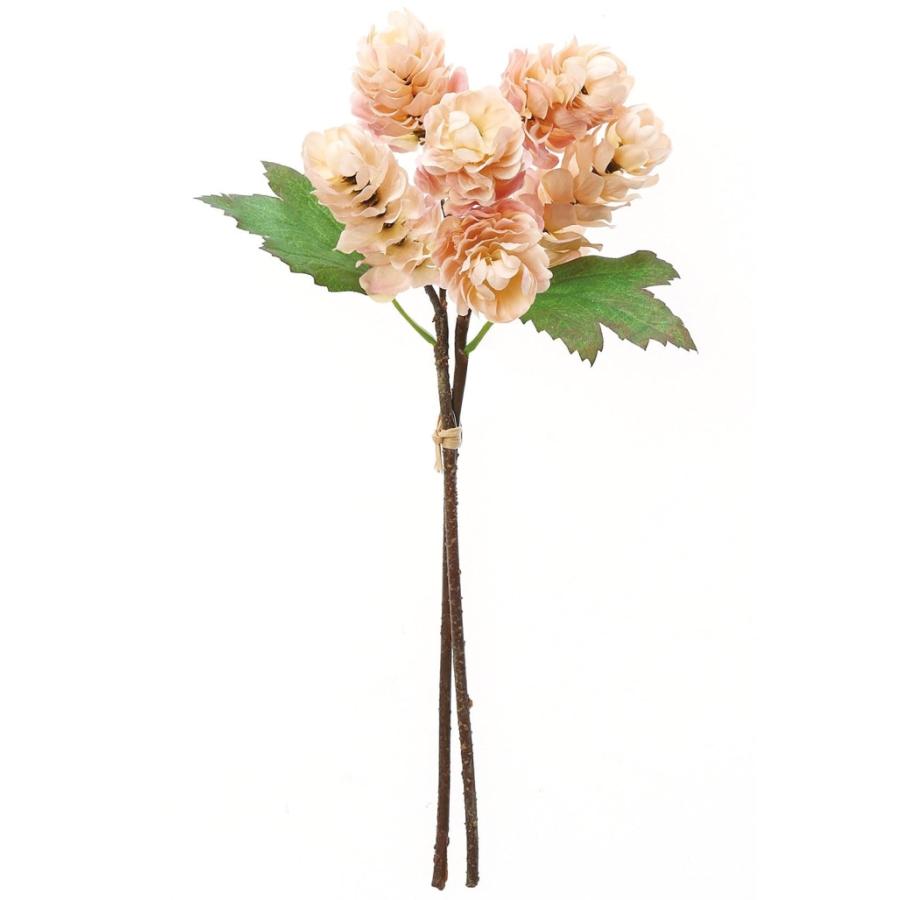 アスカ(Asca) 2023新商品 A?34596 ホップ×6(1束 #004 ピ-チ (72-34596-4) : ECJOY! - 通販 - Yahoo!ショッピング