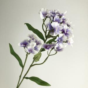 フロックス×28 (A-34952 035) : ECJOY! - 通販 - Yahoo!ショッピング