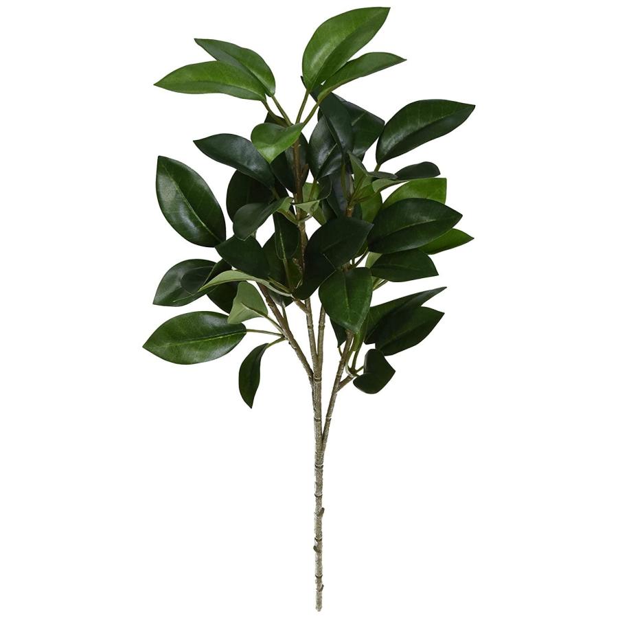 アスカ(Asca) ASCA 造花 シキビ/グリーン 全長48cm A-43156-051A : ECJOY! - 通販 - Yahoo!ショッピング