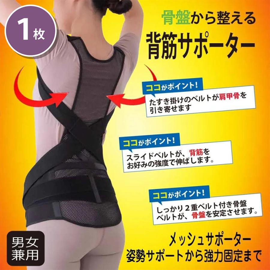 猫背 肩こり 悩み ぽっこりお腹 老けた印象 二重ベルト付き 骨盤 美姿勢 蒸れにくいメッシュ背筋サポーター S : Eclea あなたの暮らしを幸せにする雑貨のお店 - 通販 - Yahoo ...