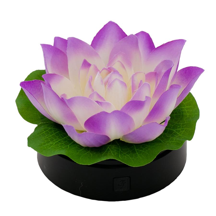 まとめ買い 5個セット ロータス~蓮花 はすはな~ 紫 ほんのり虹色 灯 彩り美しい 蓮の花 盆提灯 仏具 ライト インテリア 灯る虹色ライト Eclea : Eclea あなたの暮らしを幸せ ...