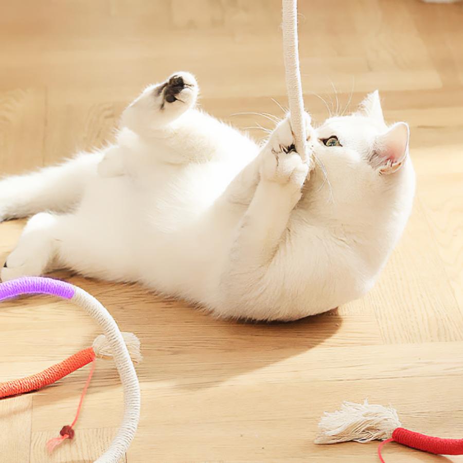 PLAY キャットロープ 猫 ロープ おもちゃ : INNEUTRAL - 通販 - Yahoo!ショッピング