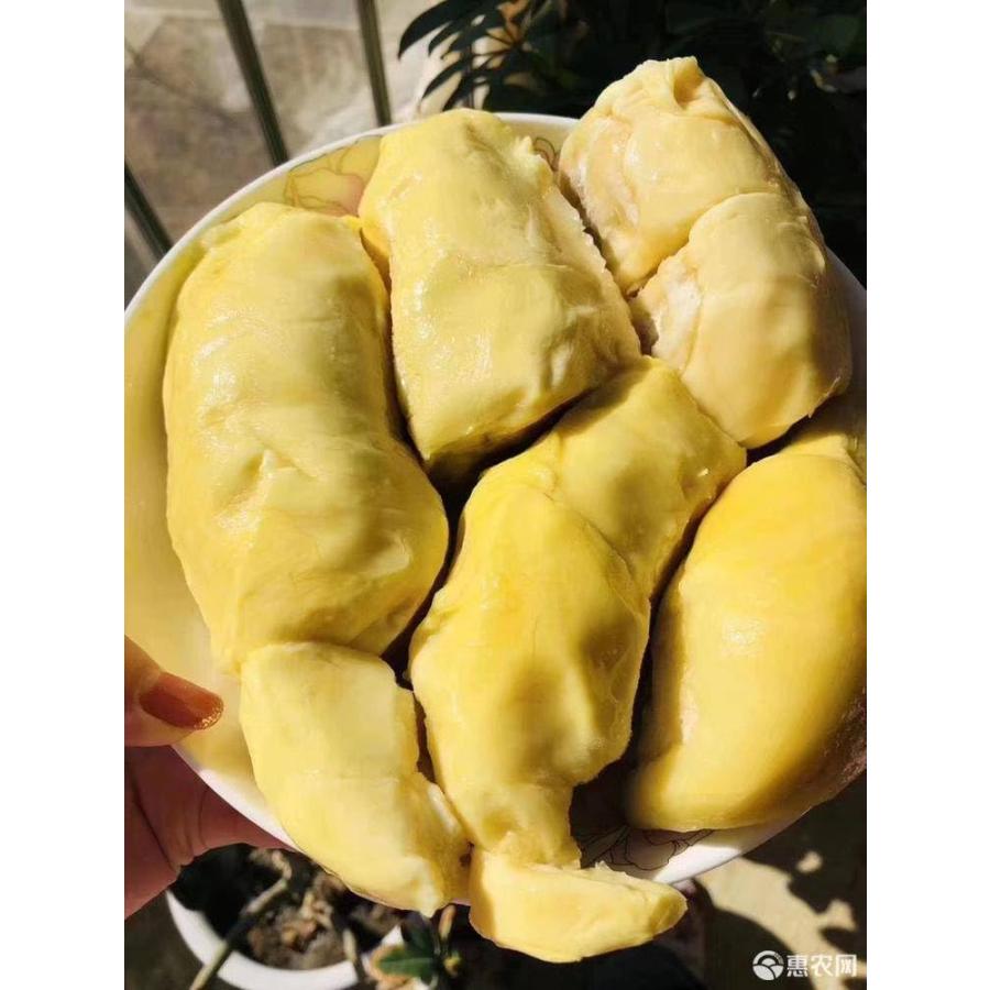 冷凍ドリアン durian Ri6ドリアン 500g クリーミー ベトナム産 冷凍 果物 無添加 人気 完熟 解 凍するだけ 冷凍フルーツ ...