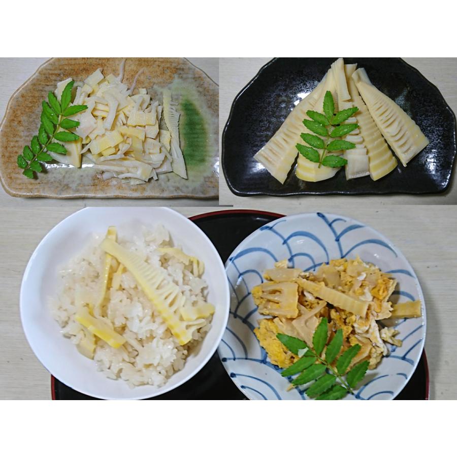 調理の手間なし！穂先たけのこ（500g）＆刻みたけのこ（500g） : 食彩工房たいら農園 - 通販 - Yahoo!ショッピング