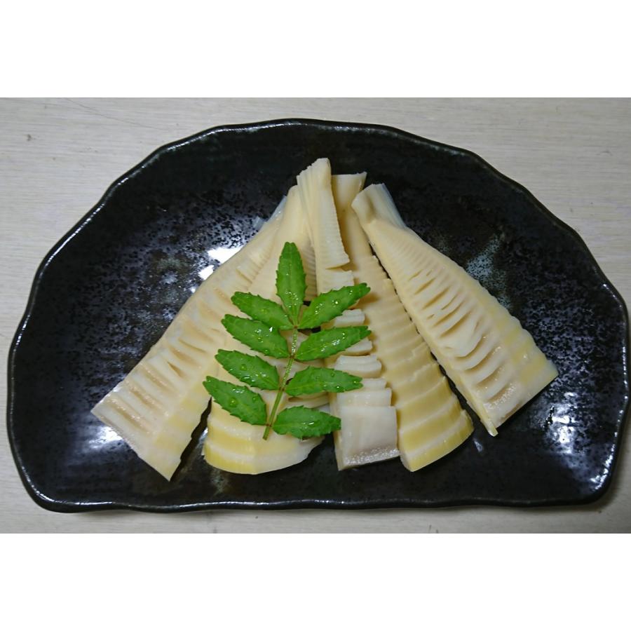 調理の手間なし！穂先たけのこ（500g）＆刻みたけのこ（500g） : 食彩工房たいら農園 - 通販 - Yahoo!ショッピング