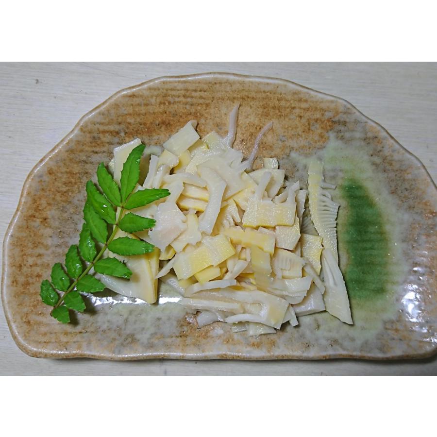 調理の手間なし！穂先たけのこ（500g）＆刻みたけのこ（500g） : 食彩工房たいら農園 - 通販 - Yahoo!ショッピング