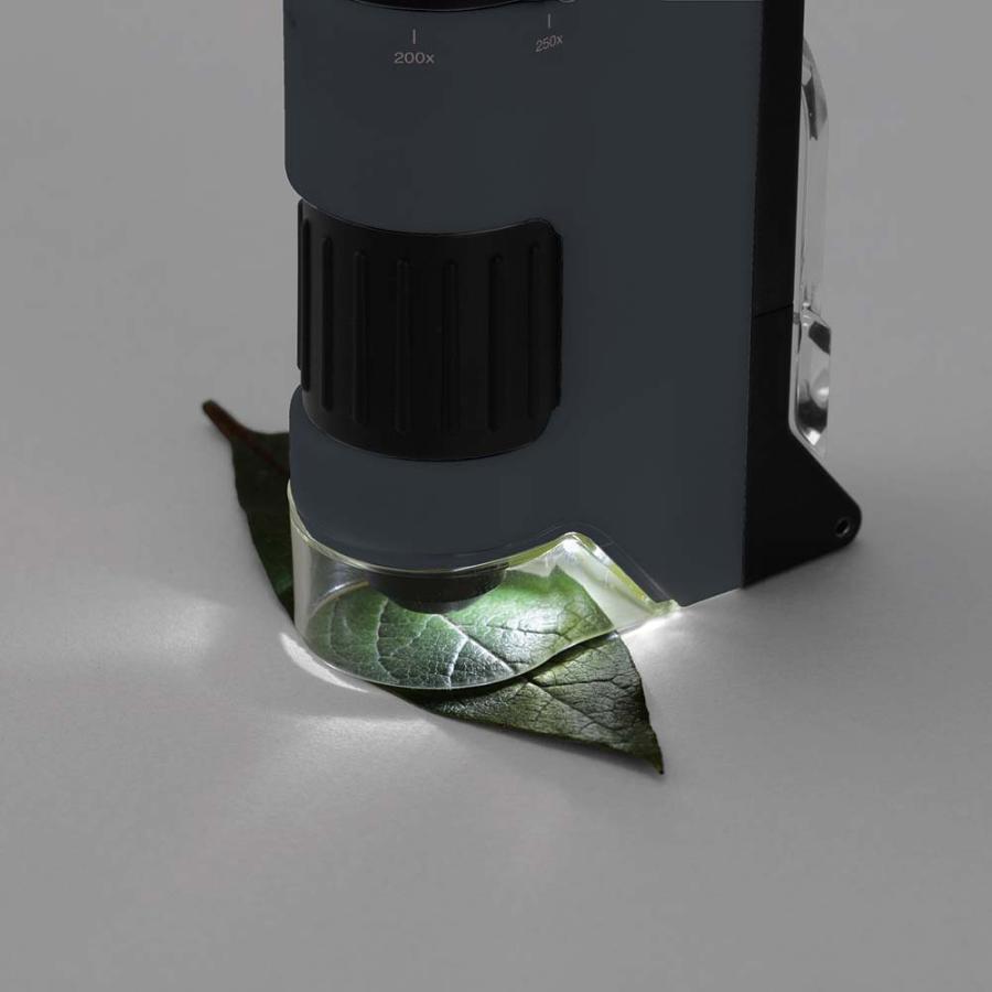 レイメイ藤井 Raymay ハンディ顕微鏡 DX ブラック RXT1144B LED : イーコンビYahoo!店 - 通販 - Yahoo!ショッピング