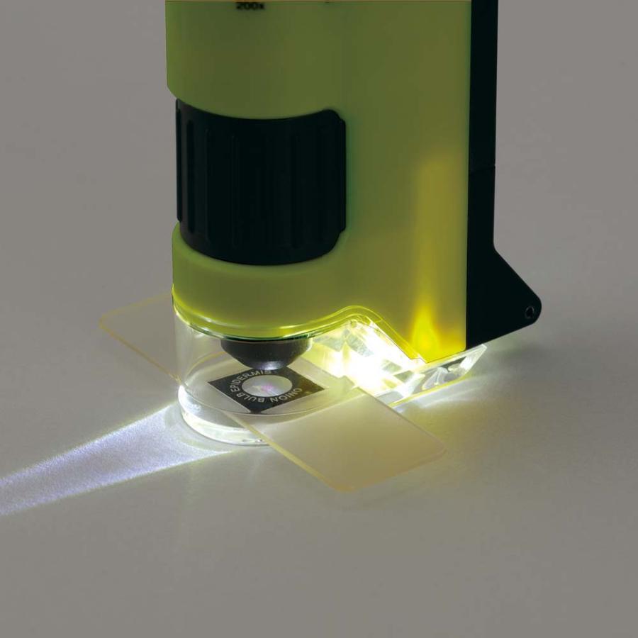 レイメイ藤井 Raymay ハンディ顕微鏡 DX グリーン RXT1144M LED : イーコンビYahoo!店 - 通販 - Yahoo!ショッピング