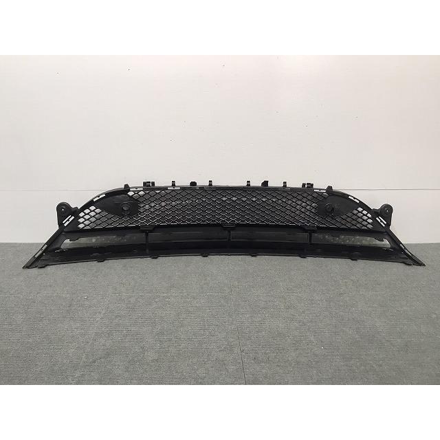 新品 Eクラス/AMG/W213 純正 フロントグリル/ラジエターグリル/ラジエーターグリル A 213 885 69 00 ...