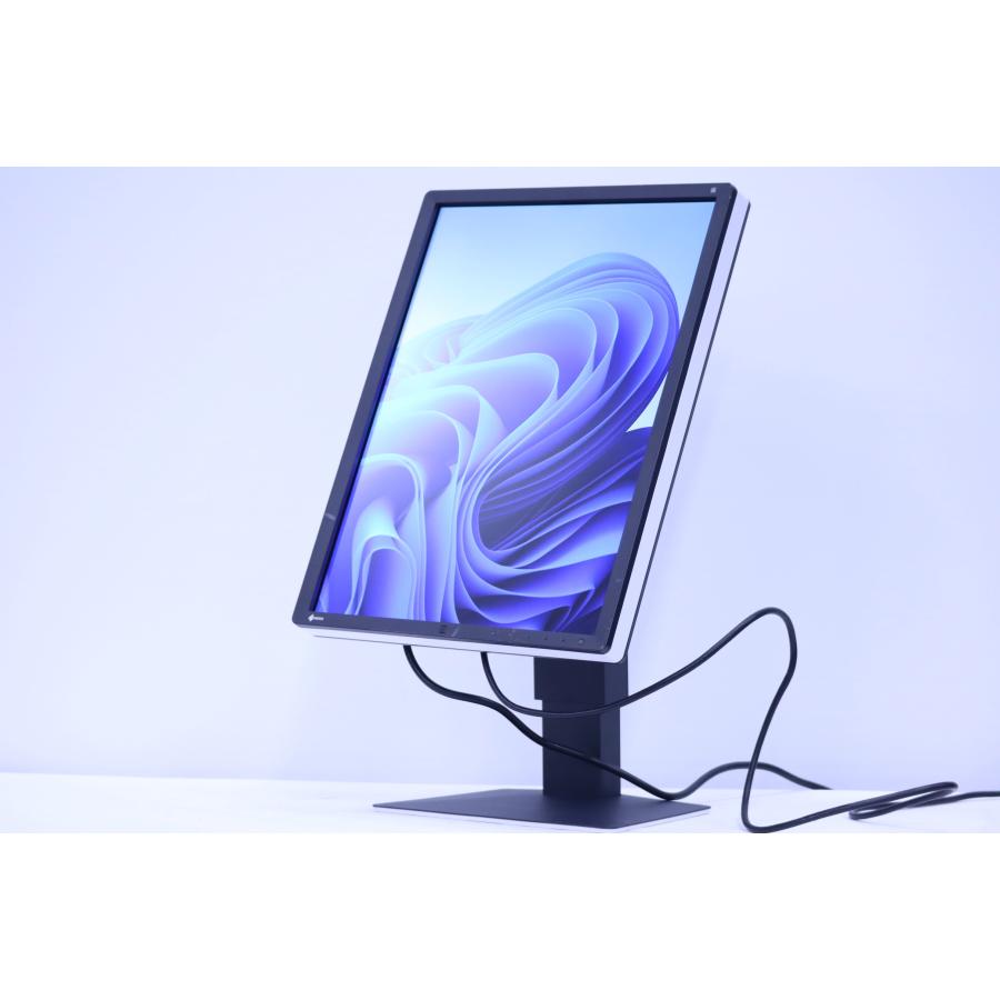 EIZO 即配 使用643時間 21.3インチ ワイド モニター IPS RadiForce RX250 動画編集 医用 レントゲン MRI ...