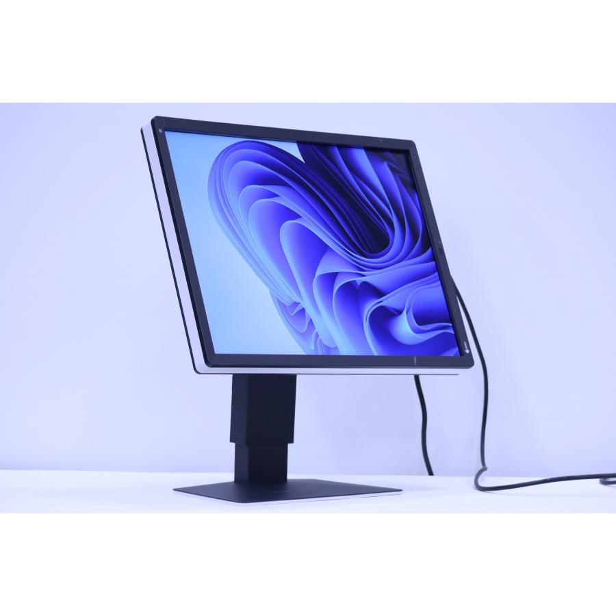 EIZO 即配 使用643時間 21.3インチ ワイド モニター IPS RadiForce RX250 動画編集 医用 レントゲン MRI ...