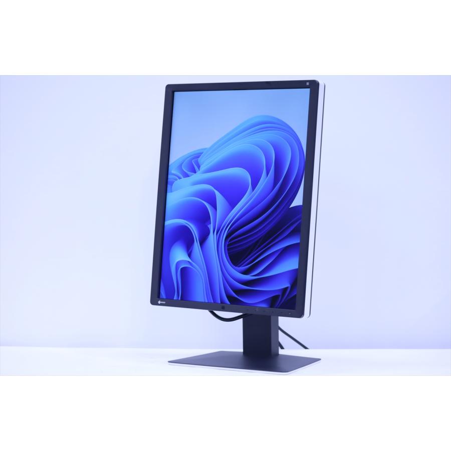 即配 使用287時間 21.3インチ ワイド モニター IPS EIZO RadiForce RX250 動画編集 医用 レントゲン MRI ...