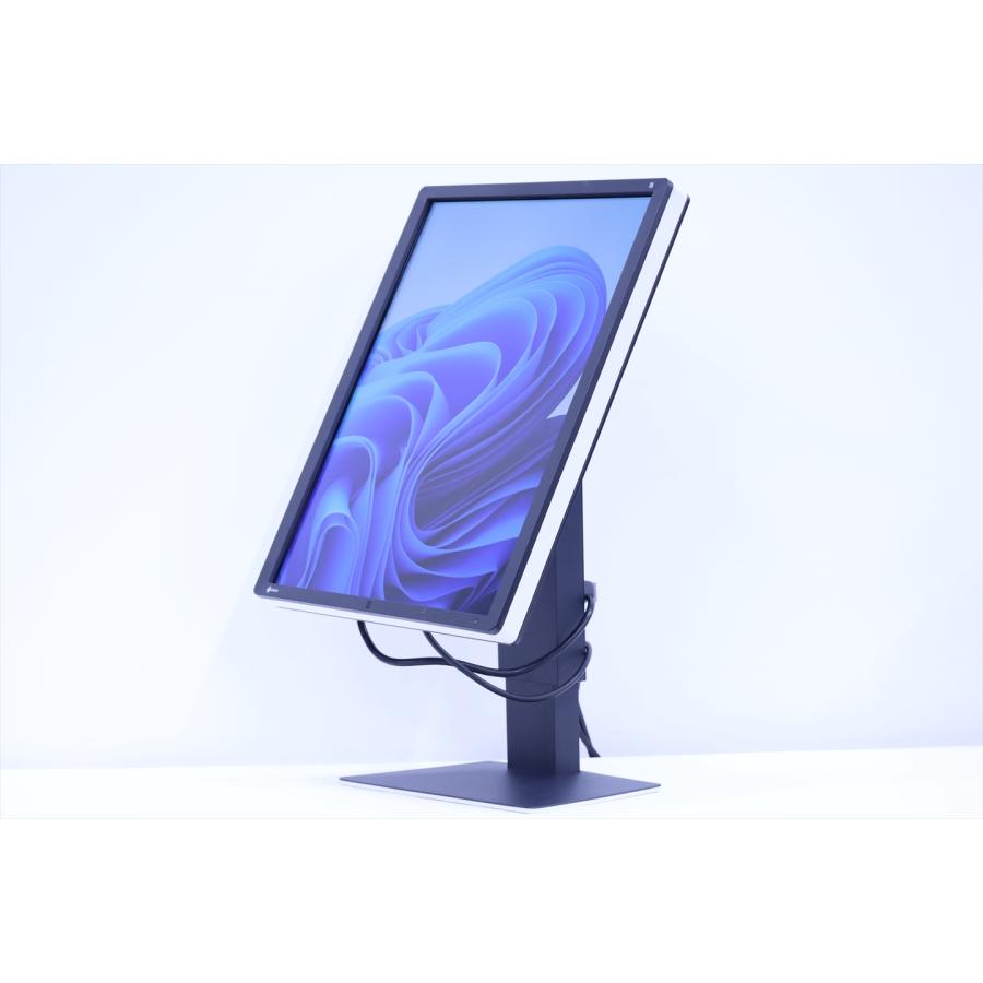 即配 使用287時間 21.3インチ ワイド モニター IPS EIZO RadiForce RX250 動画編集 医用 レントゲン MRI ...