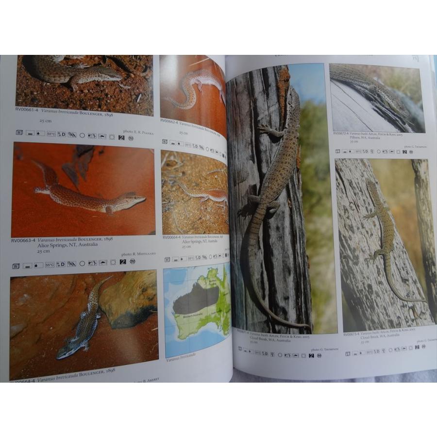 洋書 テラログ Terralog Varanoid Lizards トカゲ 爬虫類 図鑑 本 ミミナシオオトカゲ : パーツワイド - 通販 ...