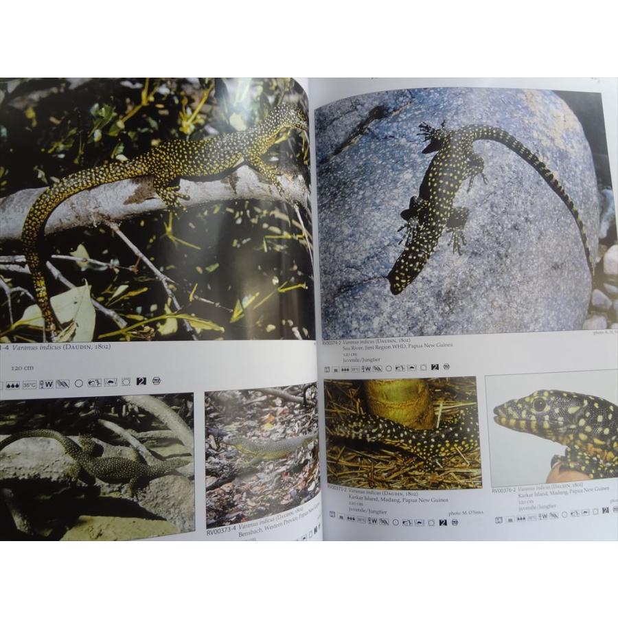 洋書 テラログ Terralog Varanoid Lizards トカゲ 爬虫類 図鑑 本 ミミナシオオトカゲ : パーツワイド - 通販 ...