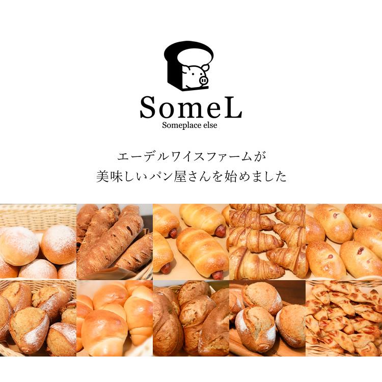 ハード系パンセット【簡易包装】ベーカリーSomeL サムエル 食パン : ハム・ベーコン エーデルワイス - 通販 - Yahoo!ショッピング