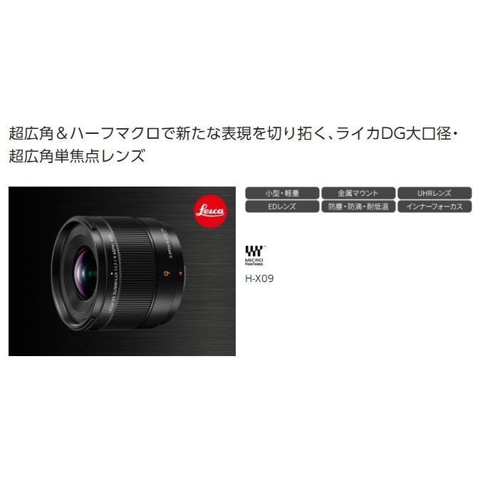LUMIX Gシリーズ 超広角単焦点レンズ パナソニック LEICA DG LUMIX Gシリーズ 超広角単焦点レンズ パナソニック LEICA DG