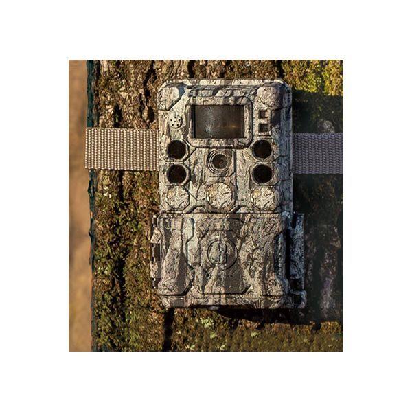 ブッシュネル Bushnell 119987C トロフィーカムXLT32MPノーグロウDC4K