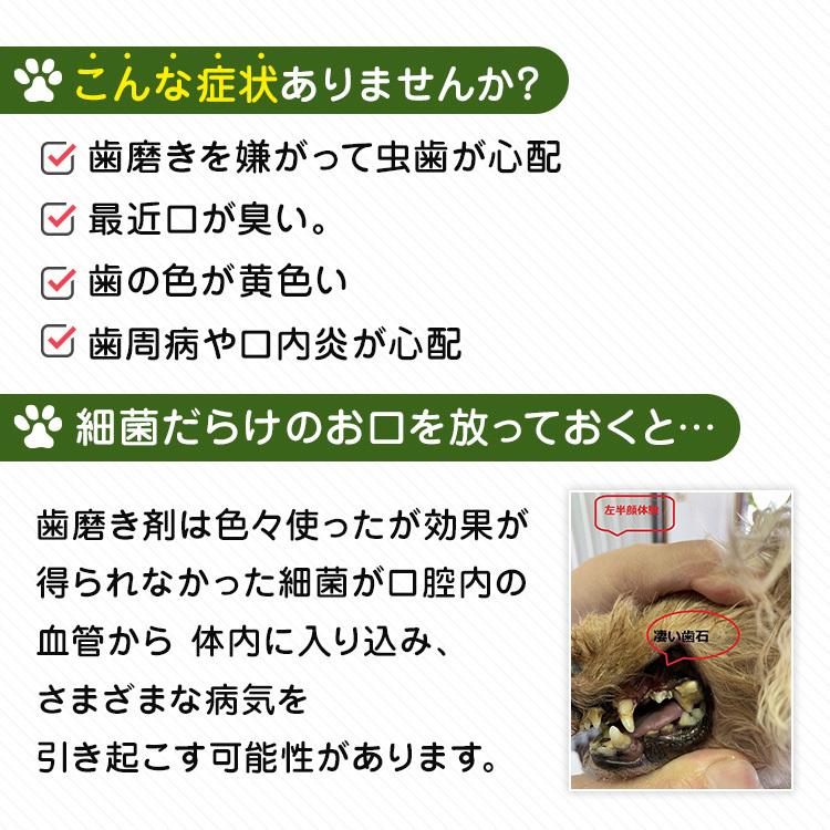 犬 歯磨き 歯石除去 イオン 犬はみがき ゼオテクニック 犬歯石 犬 歯磨き 歯石除去 イオン 犬はみがき ゼオテクニック 犬歯石