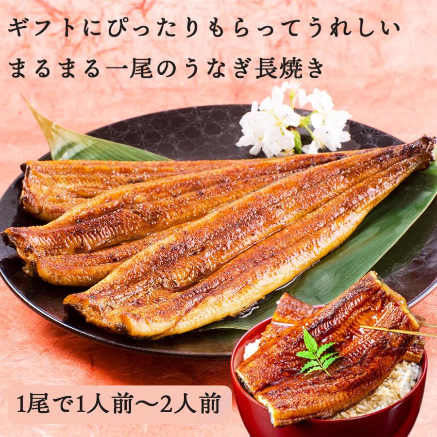 うなぎの井口 クリスマス プレゼント 贈り物 食品 お取り寄せ 食べ物 グルメ お年賀 うなぎ 国産 蒲焼き 鰻 ウナギ 蒲焼 140g 2尾 : igc-kabayaki-140g-02 ...