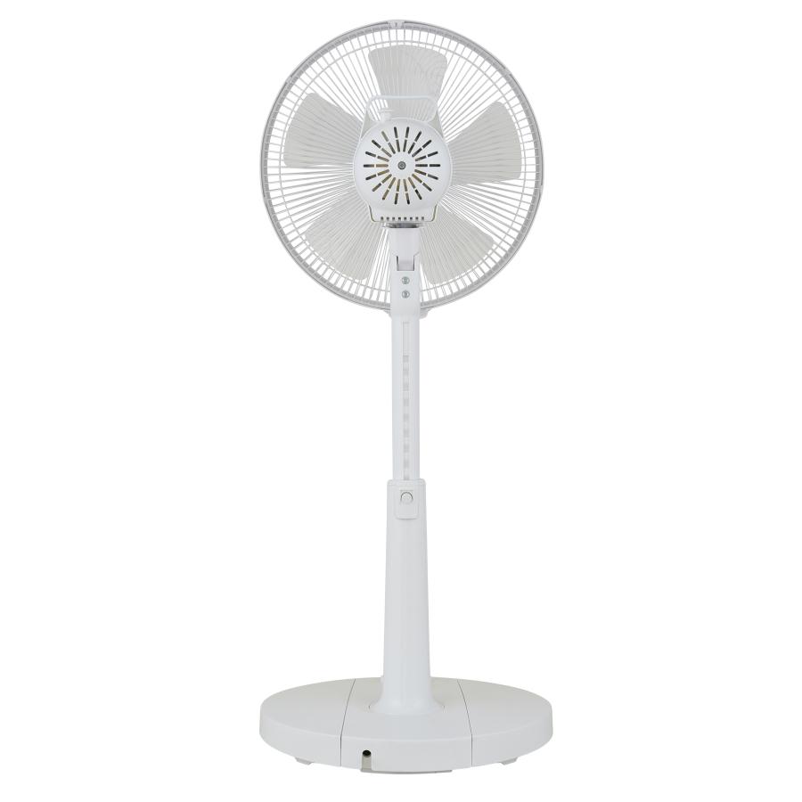 おおたけ 【アウトレット品】※外装箱に一部破損部がございます DCモーター 扇風機 30cm DC フルリモコン リビング DC扇風機 羽根 ...