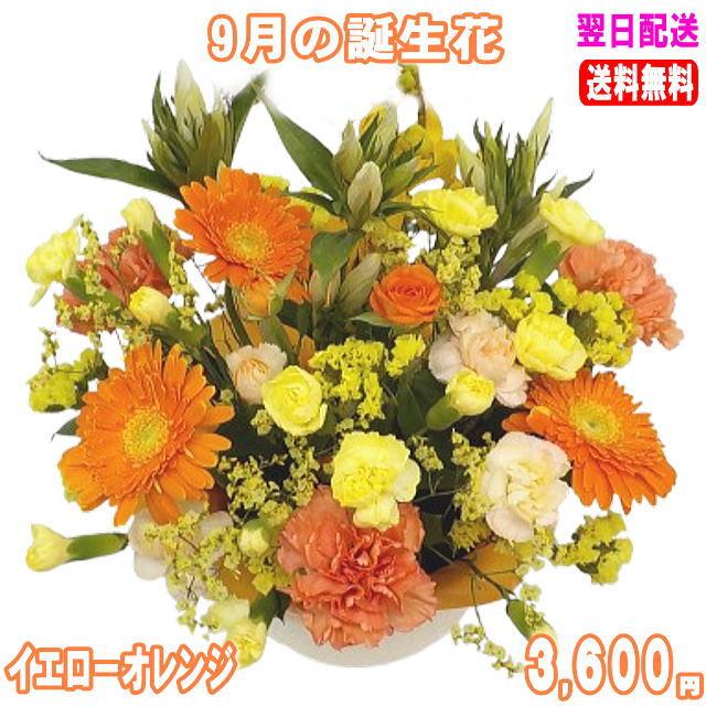 花 ギフト 誕生日 9月の誕生花 イエローオレンジアレンジ3,600円 送料無料 翌日配達 花言葉付き りんどう 写真付きメッセージ選択可 ...
