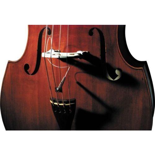 Fishman FULL CIRCLE 002｜PRO-FCL-002｜並行輸入品 : エフェクターマニア - 通販 - Yahoo!ショッピング