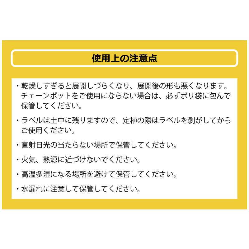 LPチェーンポット LP303-10 75冊（個）株間10cm 264鉢 紙筒 ペーパーポット 播種 種まき 育苗 青ネギ 菊 花き類 農業 lp303-10 ニッテン 農作業 プラスワイズK ...