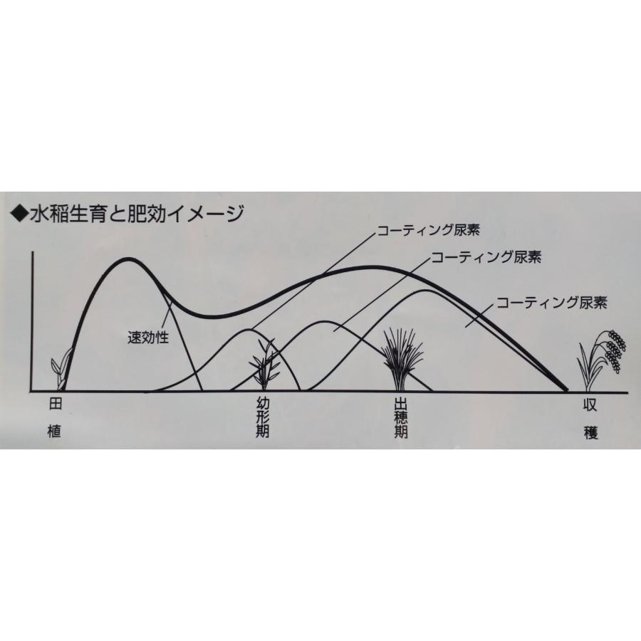 水稲一発肥料30-7-7 110日タイプ 15kg : 農園ショップDK - 通販 - Yahoo!ショッピング