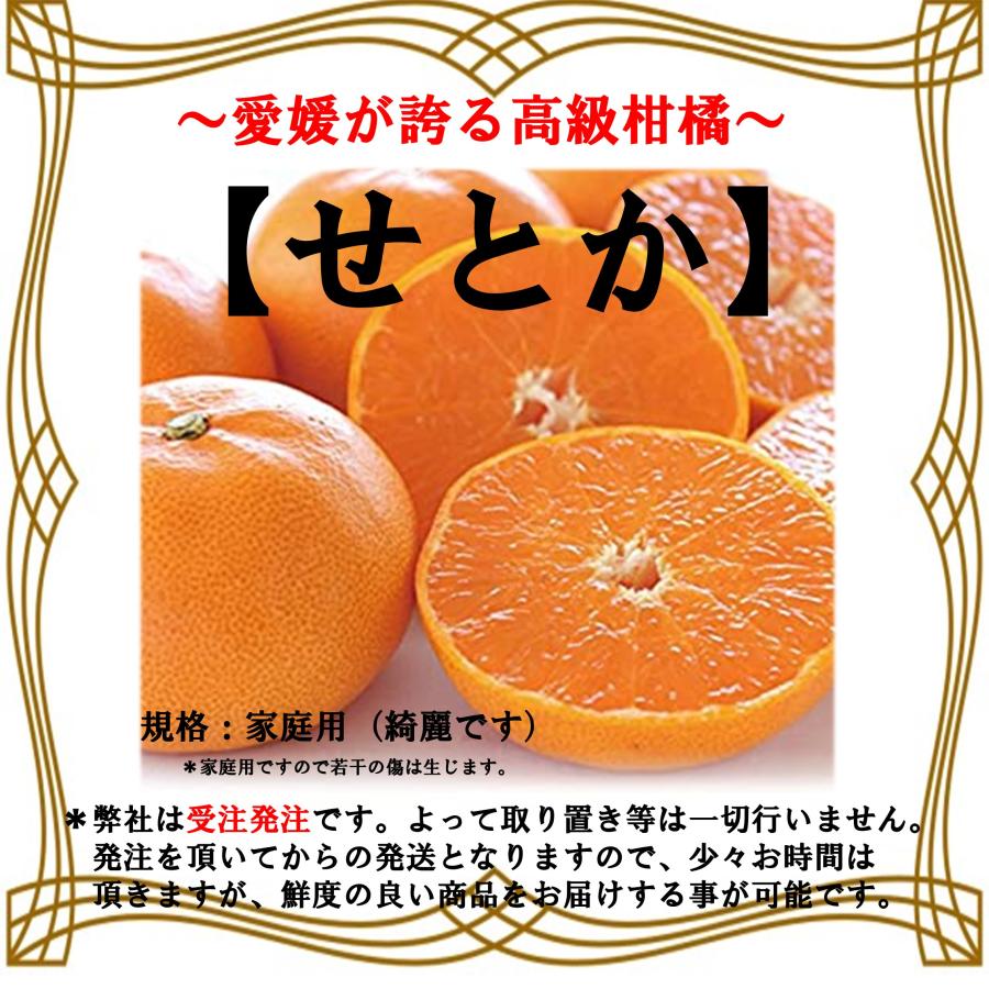 愛媛県産せとか10kg送料無料 : えひめ活き生きファーマーズ - 通販 - Yahoo!ショッピング