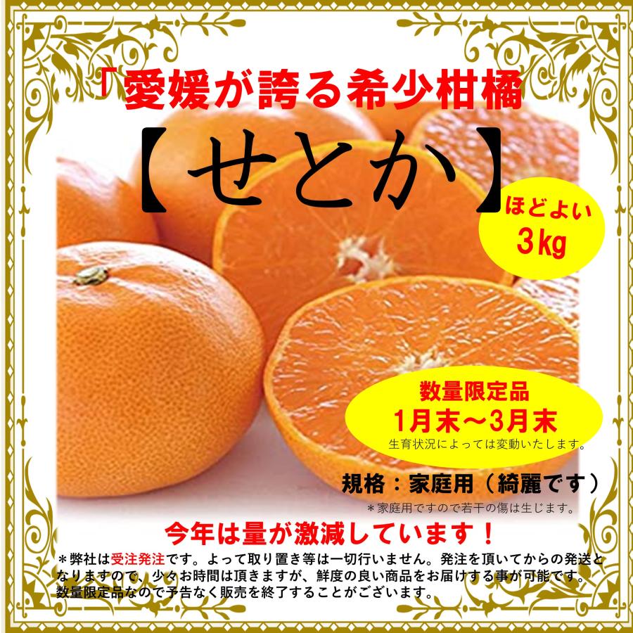 愛媛県産せとか 3kg 送料無料 :setoka115:えひめ活き生きファーマーズ - 通販 - Yahoo!ショッピング