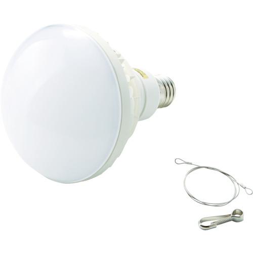 TRUSCO中山 TRUSCO LED投光器用 50W LED球 RTL50W トラスコ : エヒメマシン Yahoo!ショッピング店 - 通販 - Yahoo!ショッピング