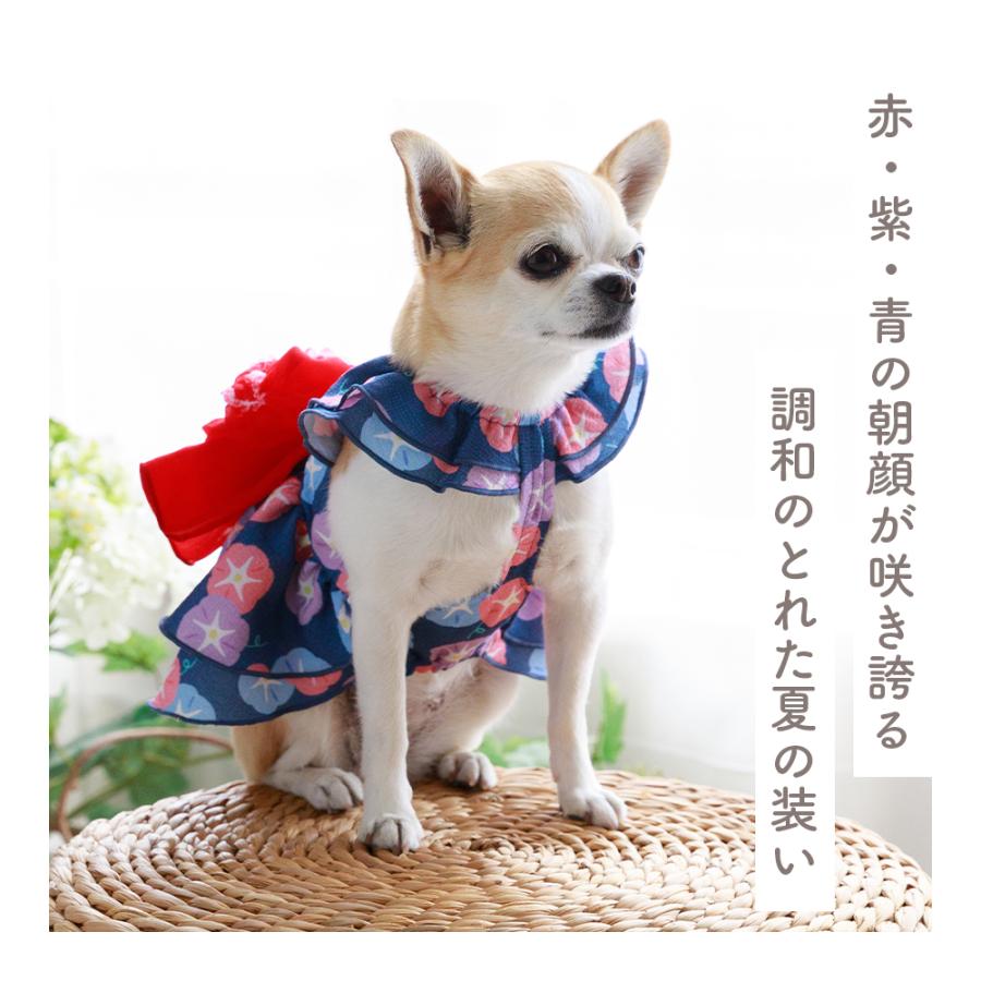 [ココアトワ]サンドレスゆかた みついろ朝顔 浴衣 犬 服 ドッグウェア かわいい 小型犬 着せやすい : ココタス ピントキッズ公式 ...