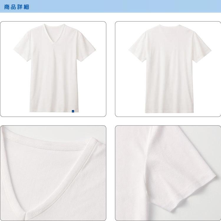 GUNZEクールマジック【接触冷感】【100%天然冷感】 VネックTシャツ／メンズ下着 紳士肌着 アンダーシャツ インナーシャツ（M/L/LL ...