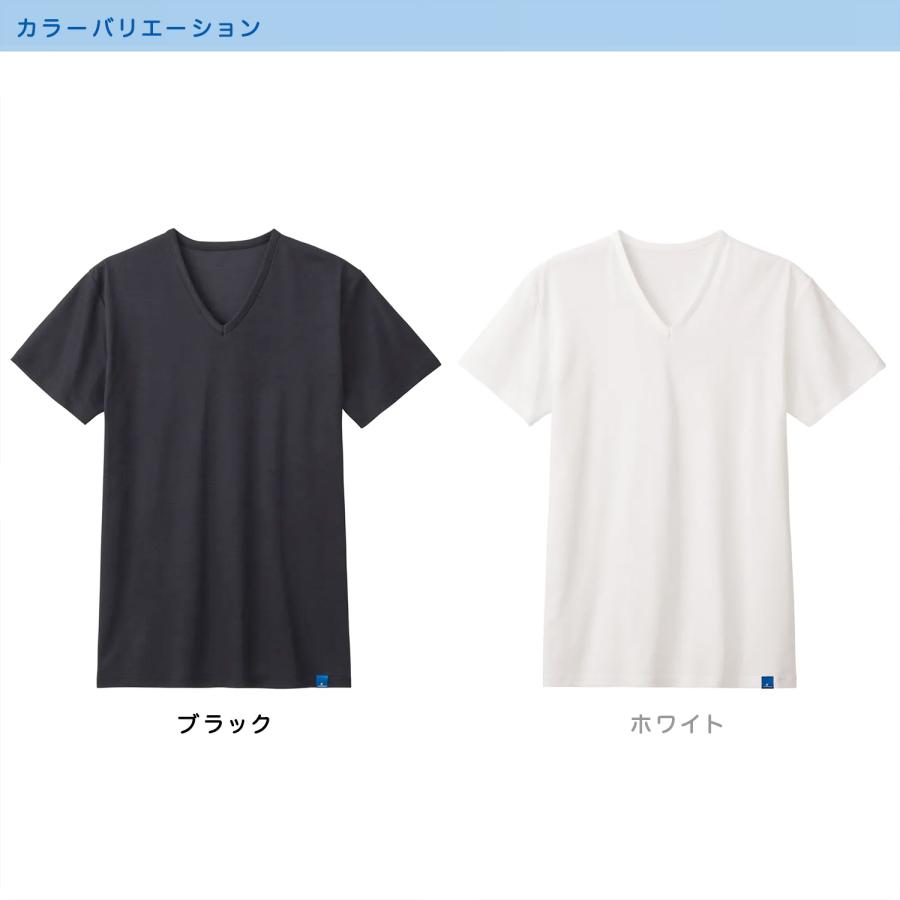 GUNZEクールマジック【接触冷感】【100%天然冷感】 VネックTシャツ／メンズ下着 紳士肌着 アンダーシャツ インナーシャツ（M/L/LL ...