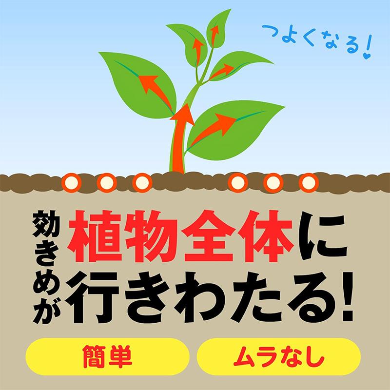 アースガーデン 園芸用殺虫剤 いろいろな植物つよし 粒タイプ 650g 4901080062819 : ejoy Yahoo!ショッピング店 - 通販 - Yahoo!ショッピング