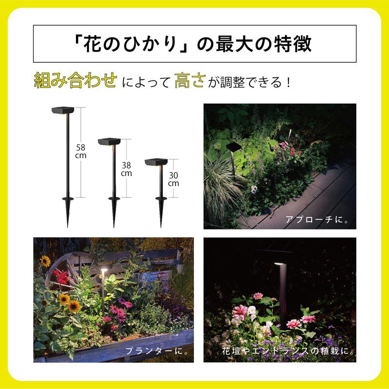 タカショー ひかりノベーション SUNCHARGE 花のひかり 2個入り タカショー ひかりノベーション SUNCHARGE 花のひかり 2個入り