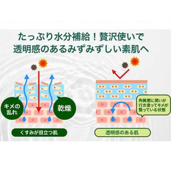 i-SAMU（アイサム） CICAハトムギ化粧水 500mL Stay Free (弱酸性 全身 介護) 介護用品 : eかいごナビ - 通販 - Yahoo!ショッピング