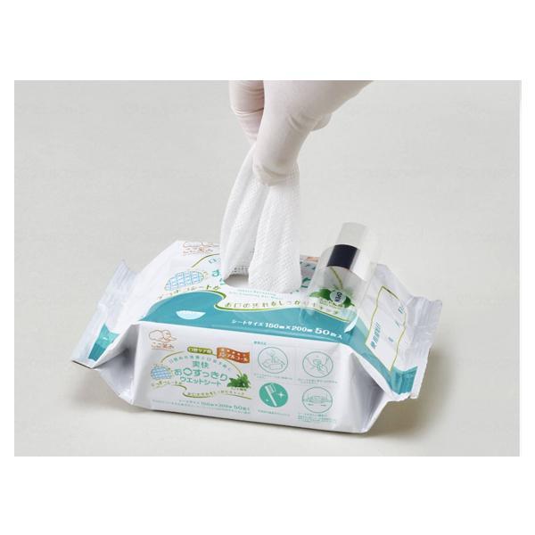 爽快お口すっきりウエットシート 1156993 ミント風味 50枚入 ハクゾウメディカル (介護 口腔ケア デンタルケア) 介護用品 ...