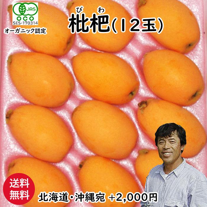 母の日 プレゼント オーガニック びわ 12玉 5月9日お届け クール便 枇杷 有機JAS認定 ビワ ギフト ランキング : 福岡江久母 ...