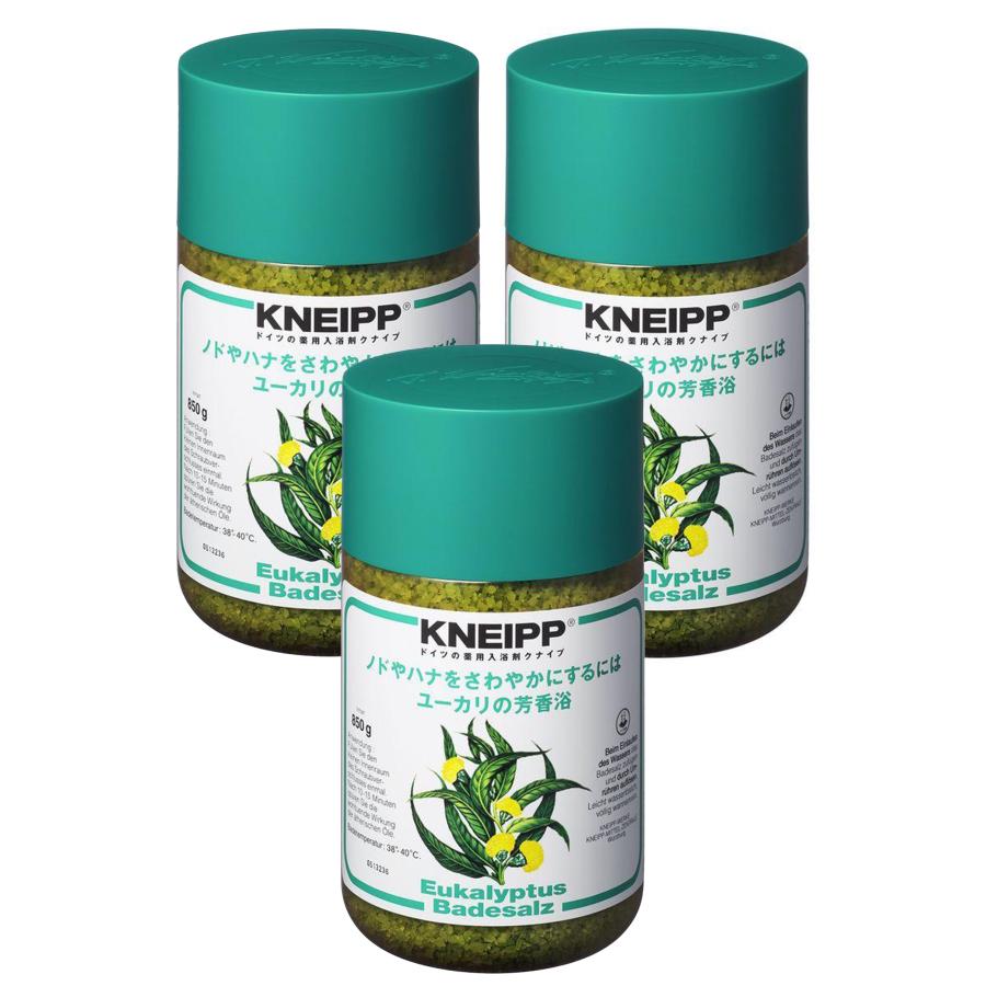 KNEIPP クナイプバスソルトユーカリの香り850G 3本 : el Arco Iris - 通販 - Yahoo!ショッピング