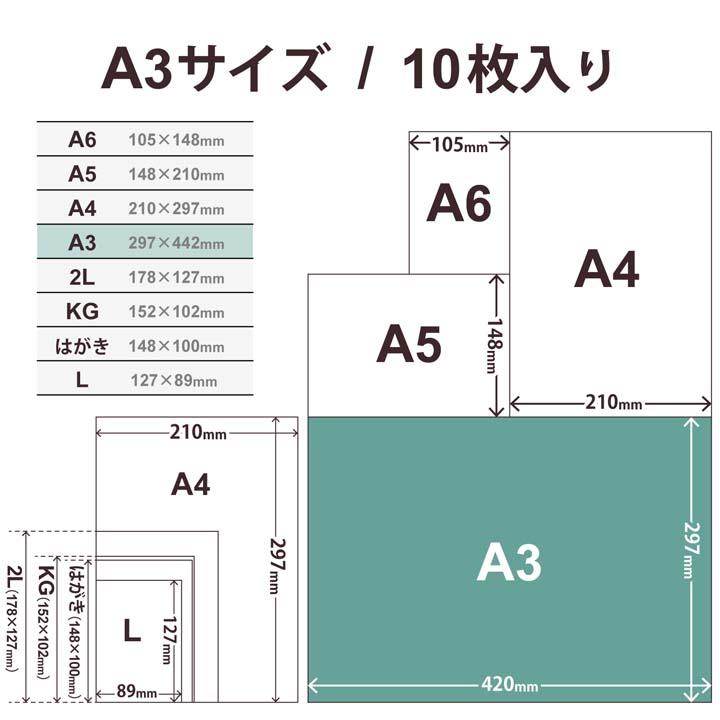 ELECOM エレコム 光沢 写真用紙 A3 印画紙 Pro 厚手 写真 用紙 ホワイト 10枚┃EJK-PROA310 : エレコムダイレクトショップ - 通販 - Yahoo!ショッピング