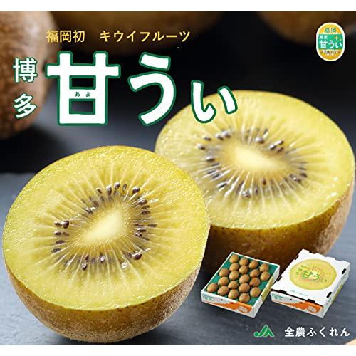 お歳暮 キウイフルーツ 甘うぃ 3Lサイズ 6〜9玉 1.3kg 福岡県産 JAふくおか八女 ギフト 贈り物 : エレフショップ - 通販 - Yahoo!ショッピング
